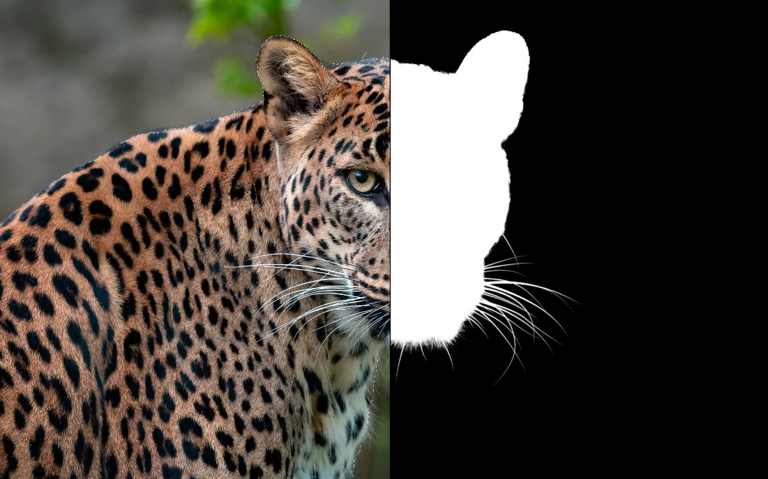 Affinity Photo Software - Professional photo editing software